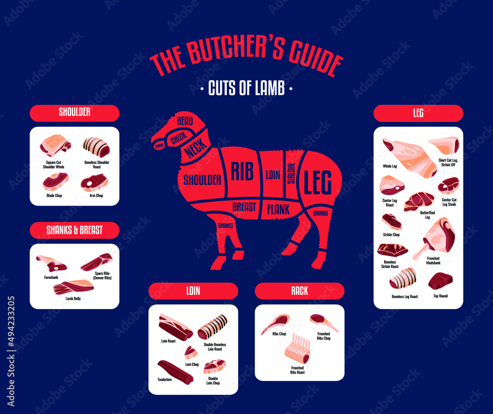 Meat and Beef cuts. Diagrams for butcher shop. Scheme of beef. Vector ...