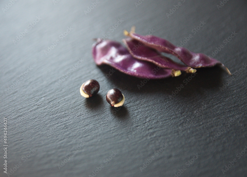 Lablab purpureus is a species of bean in the family Fabaceae, hyacinth ...