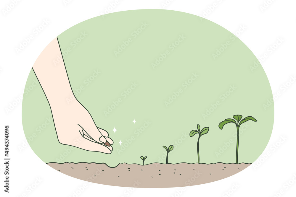Person hand plant seed in ground watch tree development stages ...