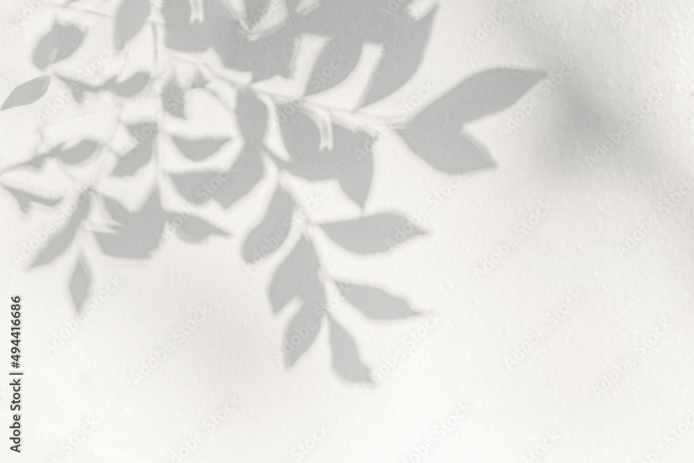 Shadow and sunshine of leaves reflection. Jungle gray darkness leaf ...