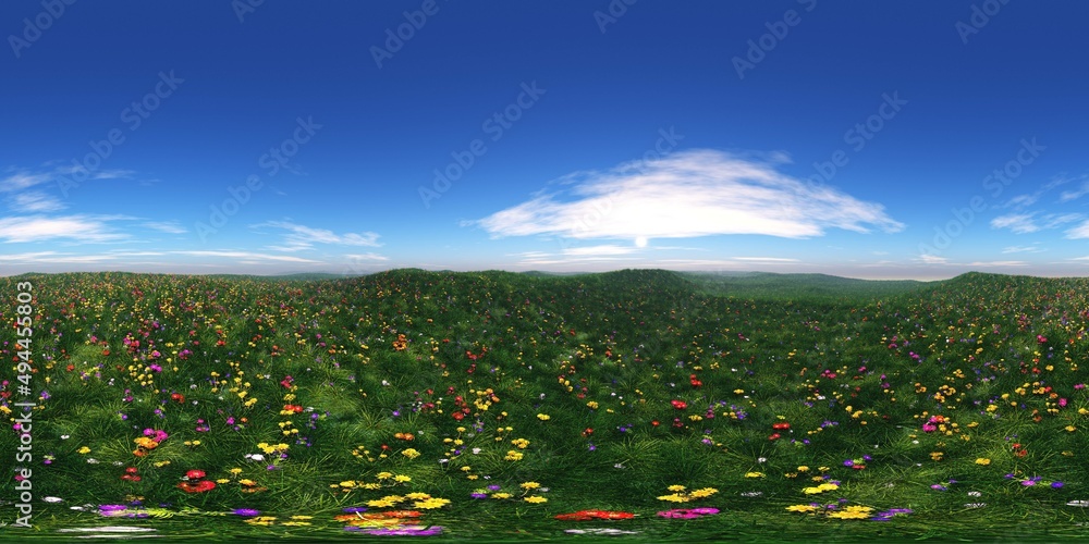 Spring meadow with flowers,, HDRI, environment map , Round panorama ...