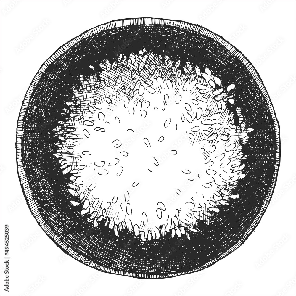 Asian dishes. Hand-drawn illustration of Rice Bowl . Vector. Ink ...