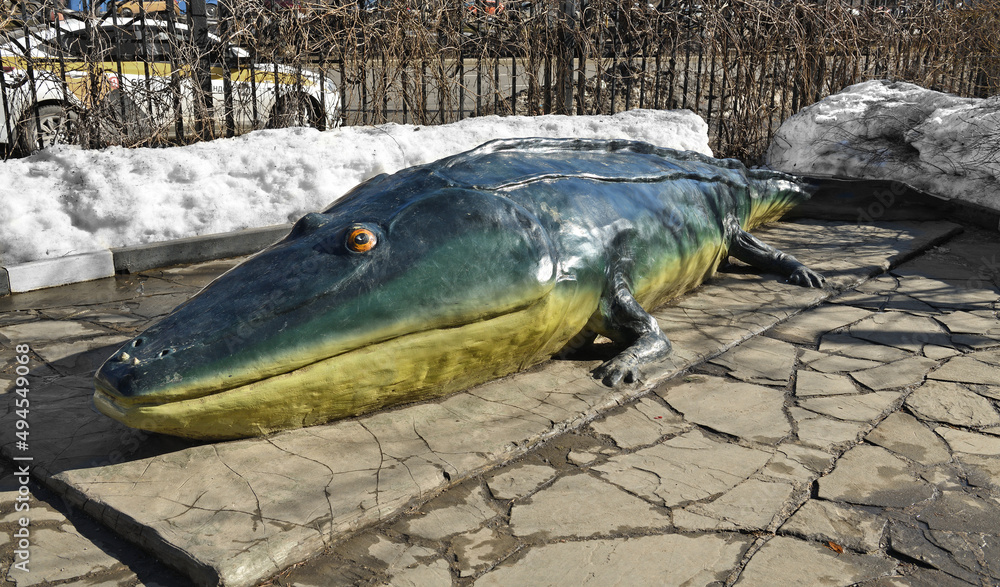 Mastodonsaurus (breast tooth lizard), extinct genus of temnospondyl ...