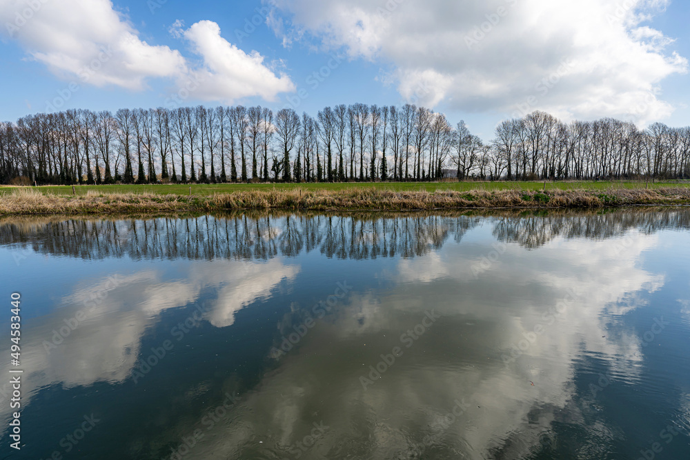 reflection of trees on the water, landscape in England, Thames Path ...