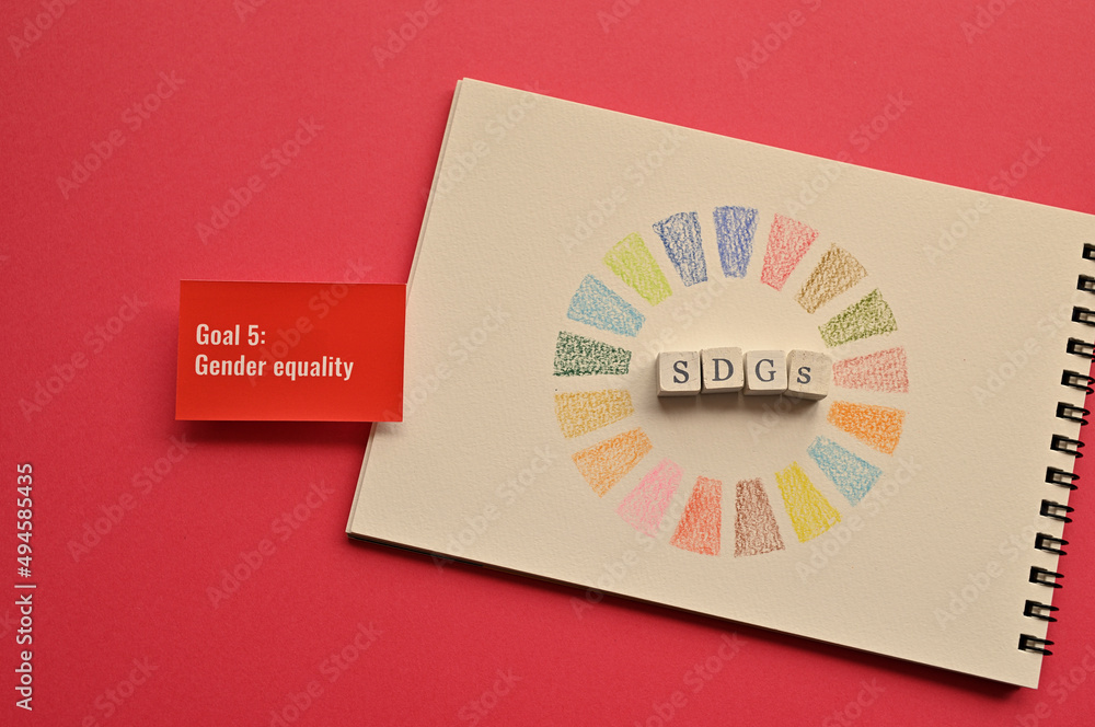 Wooden cubes arranged in the letters of the SDGs and a card with the ...