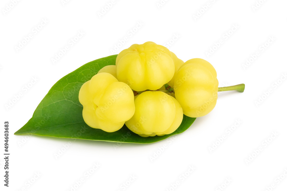 Phyllanthus acidus, star gooseberry, starberry or mayom fruits with ...