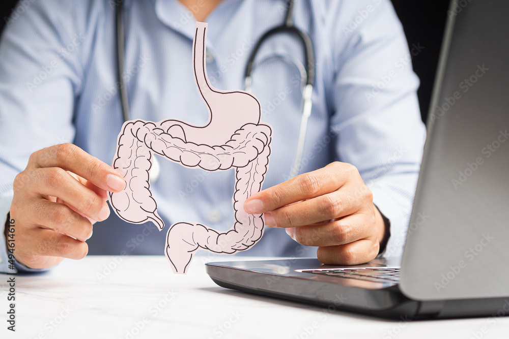 Doctor holding a large intestine shape made from pink paper Stock Photo ...