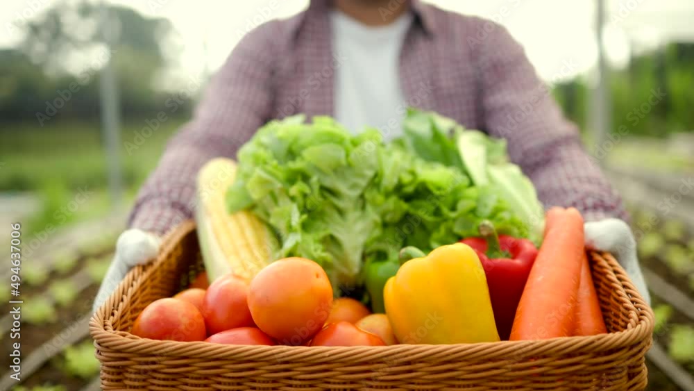 Happy agriculture is holding and sends a basket of fresh organic ...
