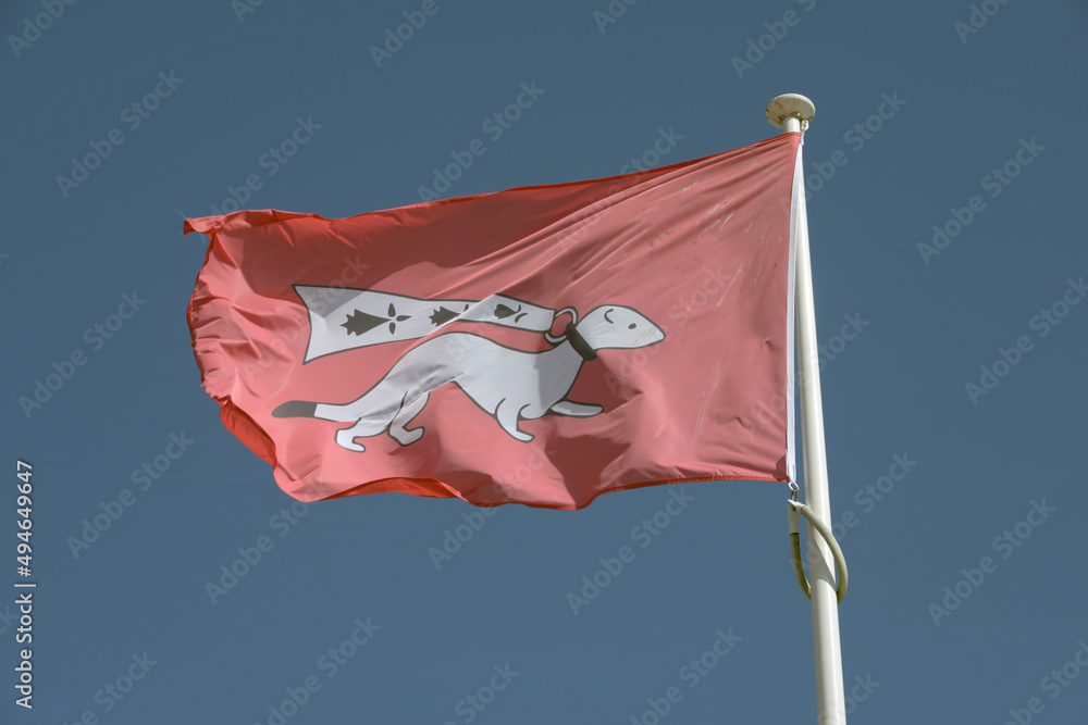 Drapeau de la ville de Vannes avec une hermine sur fond rouge Stock ...