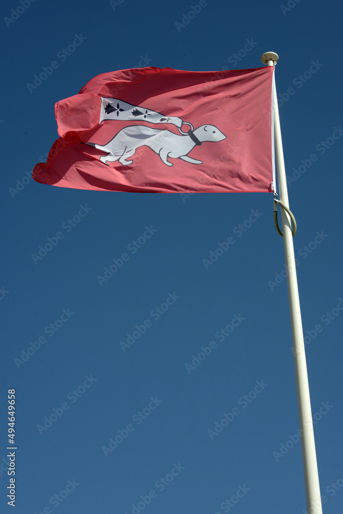 Foto de Drapeau de la ville de Vannes avec une hermine sur fond rouge ...