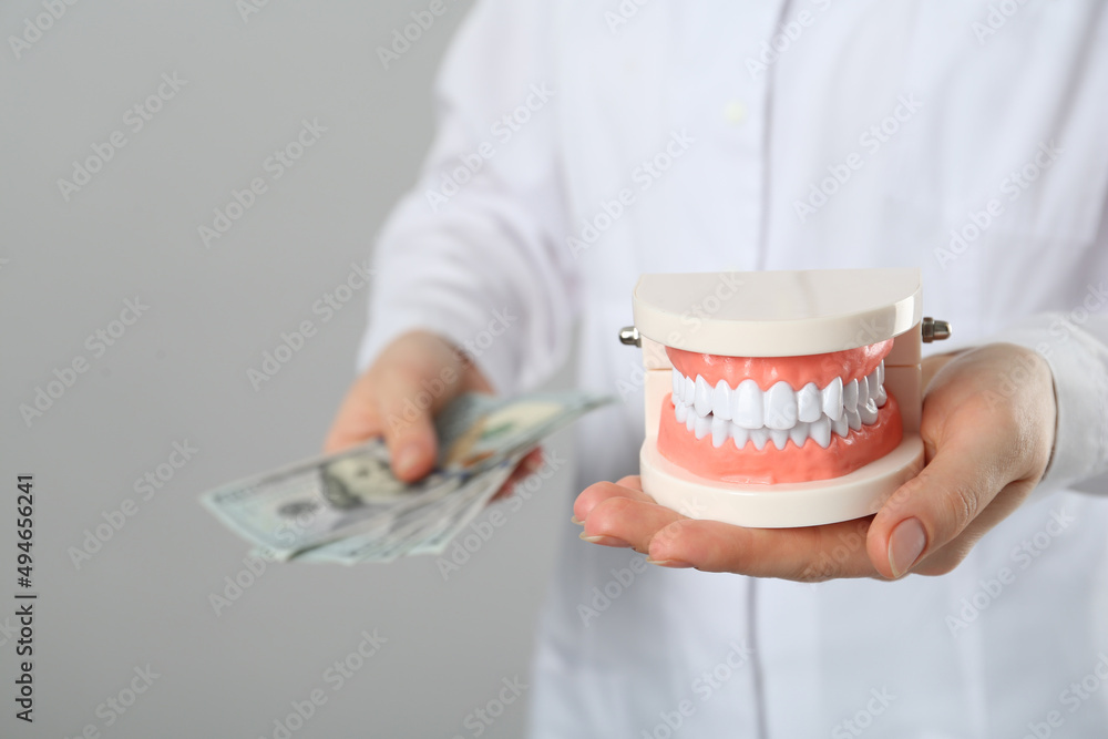 Dentist holding educational typodont model and dollar banknotes on grey ...