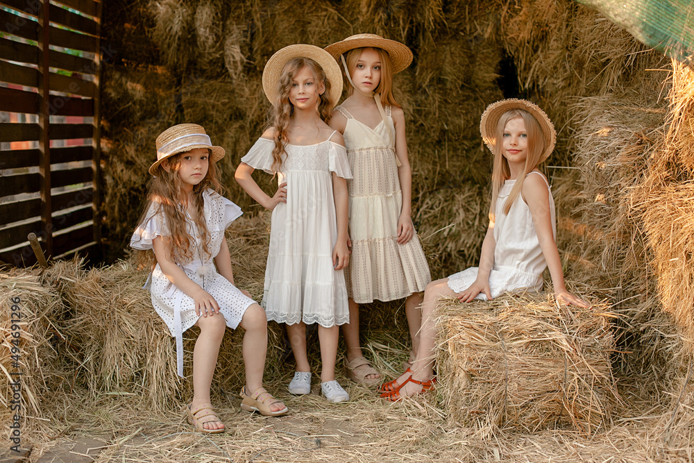 Poster Group of tween girls posing together in hayloft during summer ...
