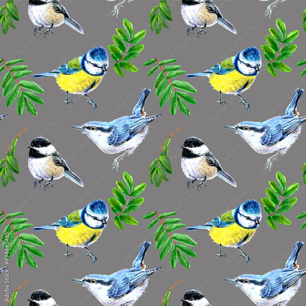 Floral seamless pattern of birds, Tits, nuthatch and chickadees drawn ...