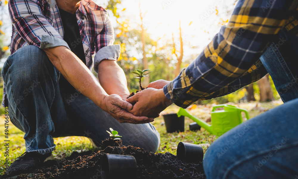 Two men planting a tree concept of world environment day planting ...