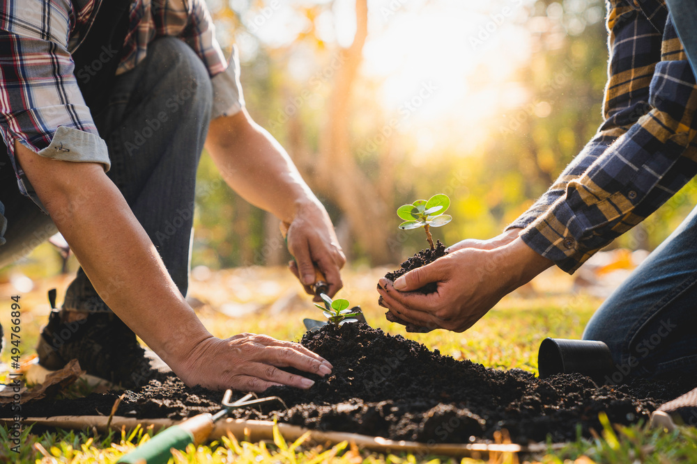 Stockfoto Two men planting a tree concept of world environment day ...