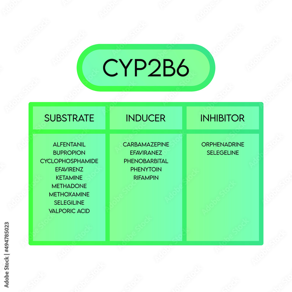 CYP2B6 Cytochrome p450 enzyme pharmaceutical substrates, inhibitors and ...