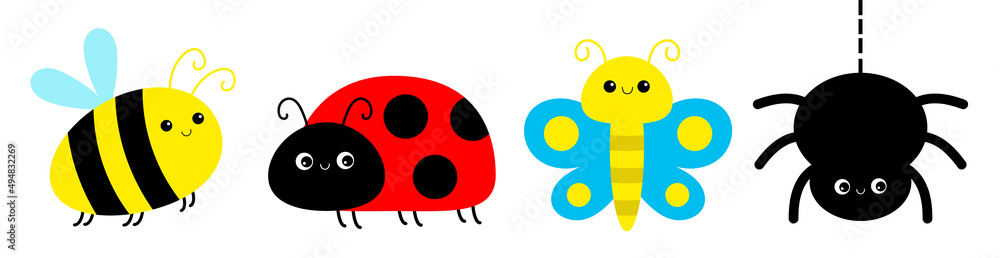 Ladybug ladybird, spider, bee bumblebee, butterfly, lady bug. Insect ...