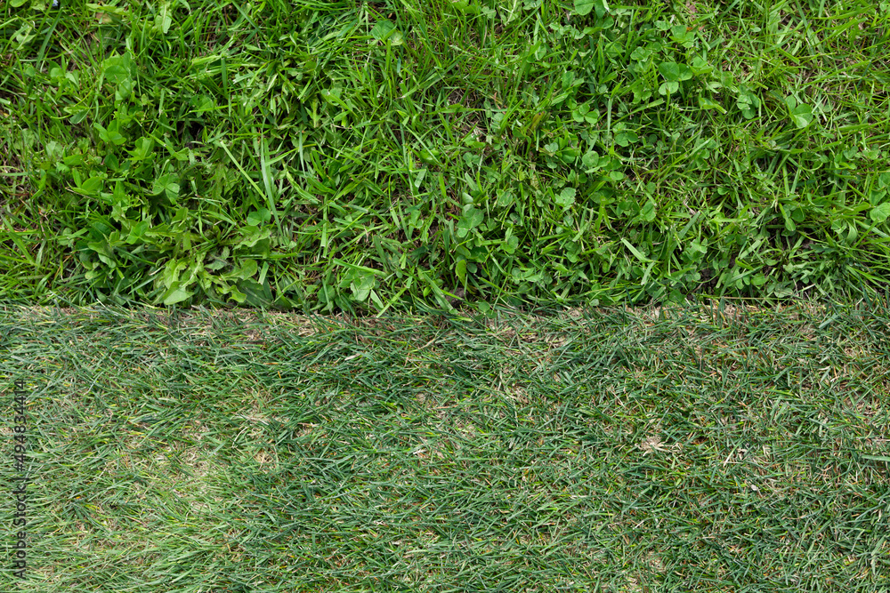 Stacked roll of turf or turf grass. Joint or connection with natural ...