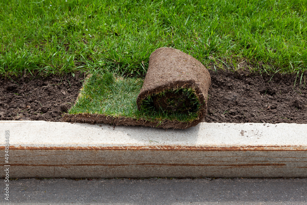 Roll-up lawn near kerb. Landscaping of territory in the park. Roll of ...