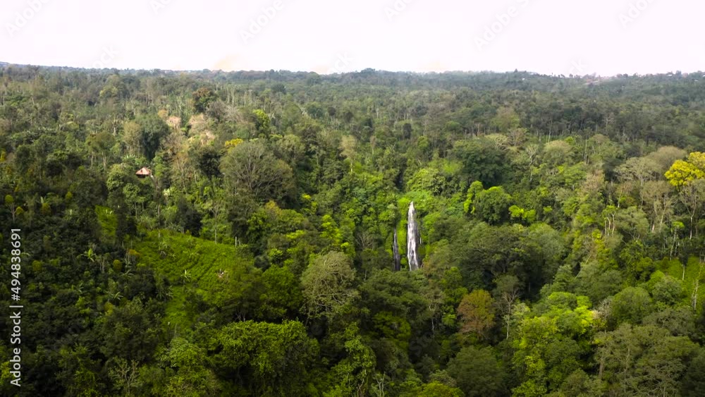 Island of Bali, wilderness green natural scenic landscape tropical ...
