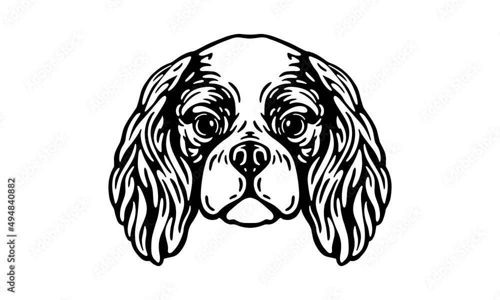 Cavalier King Charles Spaniel dog logo pet portrait Stock Vector ...