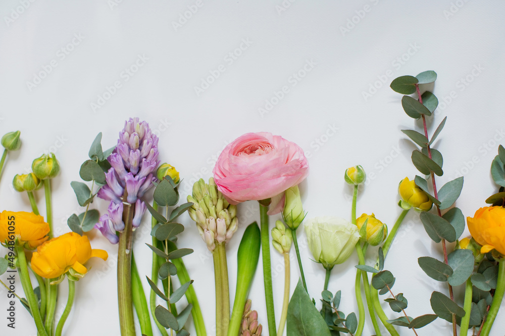 Floral border on white background Stock Photo | Adobe Stock