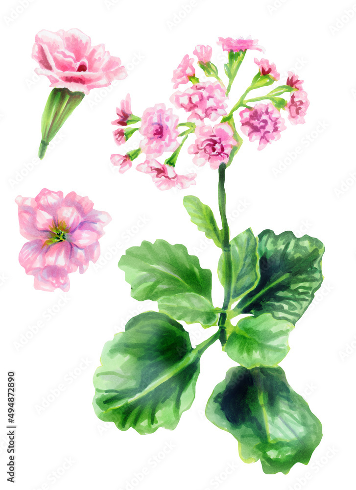 Watercolor hand painting illustration with flowers and leaves of ...