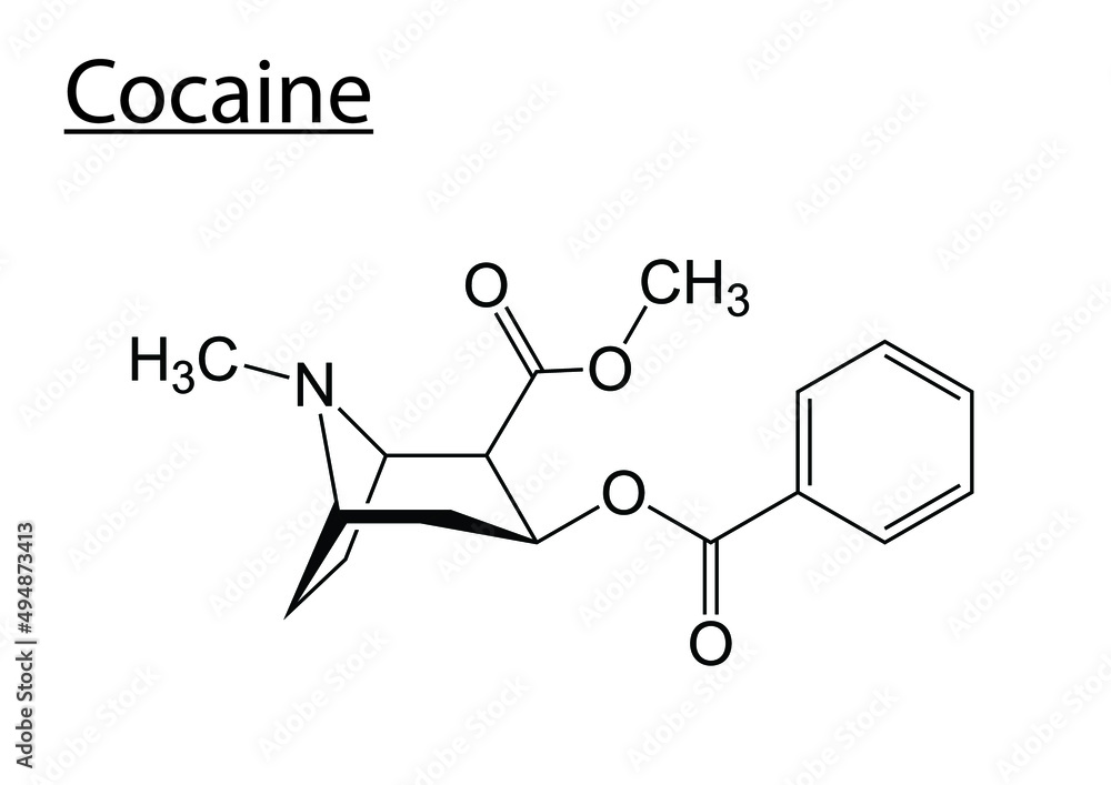 Poster Chemical structure of Cocaine on a white background. – Wall Art ...