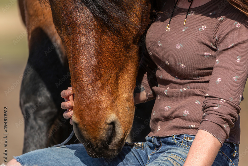 A female equestrian and her horse cuddling together. A scene showing ...
