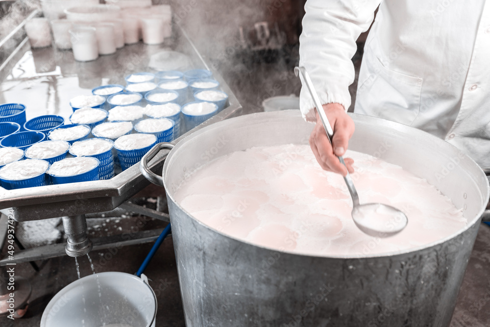 Cheesemaker pours the ricotta into plastic forms - process of making ...