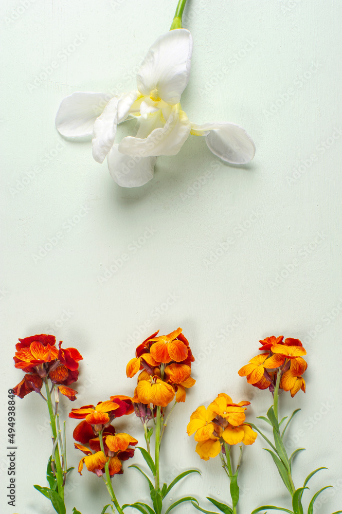 Paisaje de flores dibujado con la fotografía cenital, flores naranjas ...