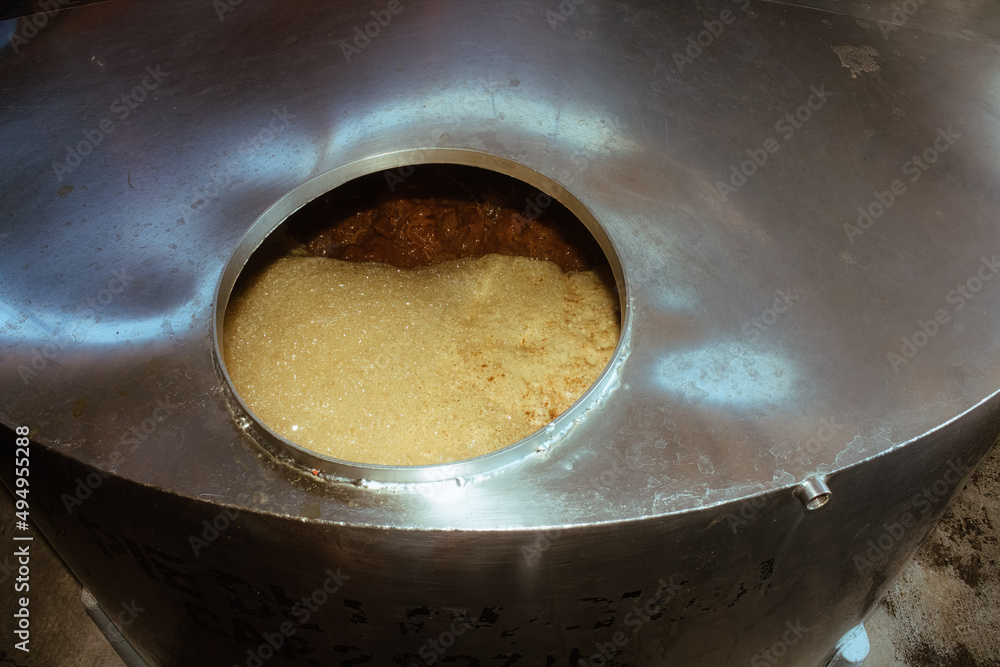 Blue agave (Agave tequilana) mosto (must) ferments in a stainless tank ...