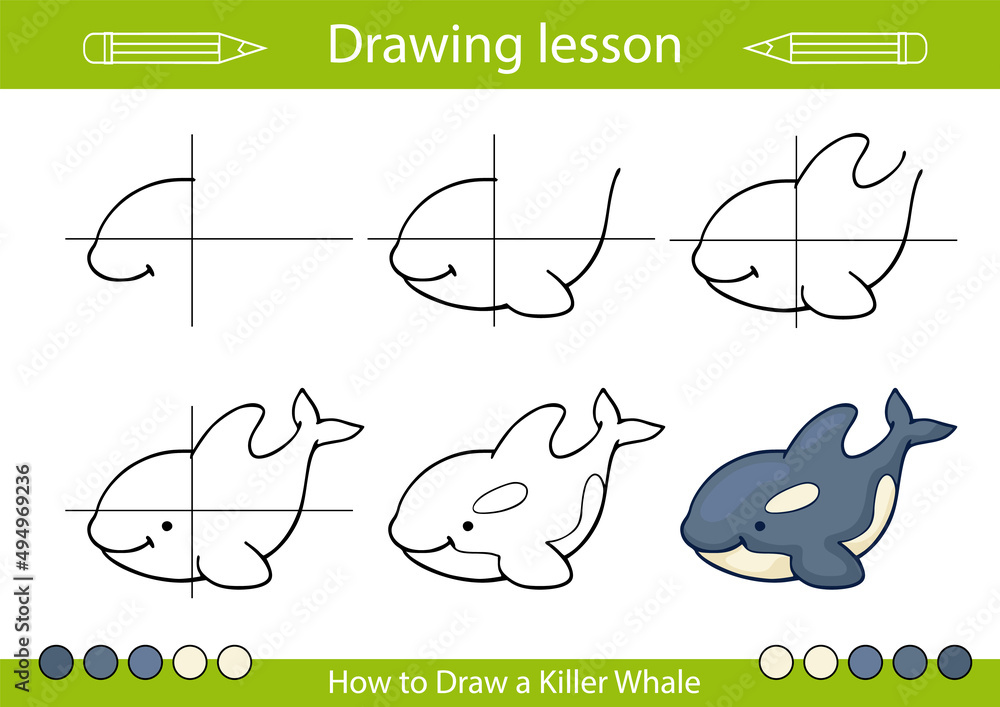 Tutorial step by step how to draw a killer whale? Drawing lesson ...