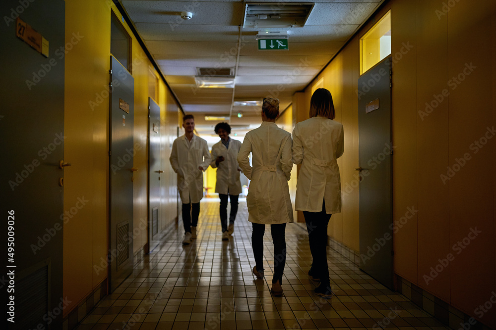 Young chemistry students walk down the hallway in the university ...