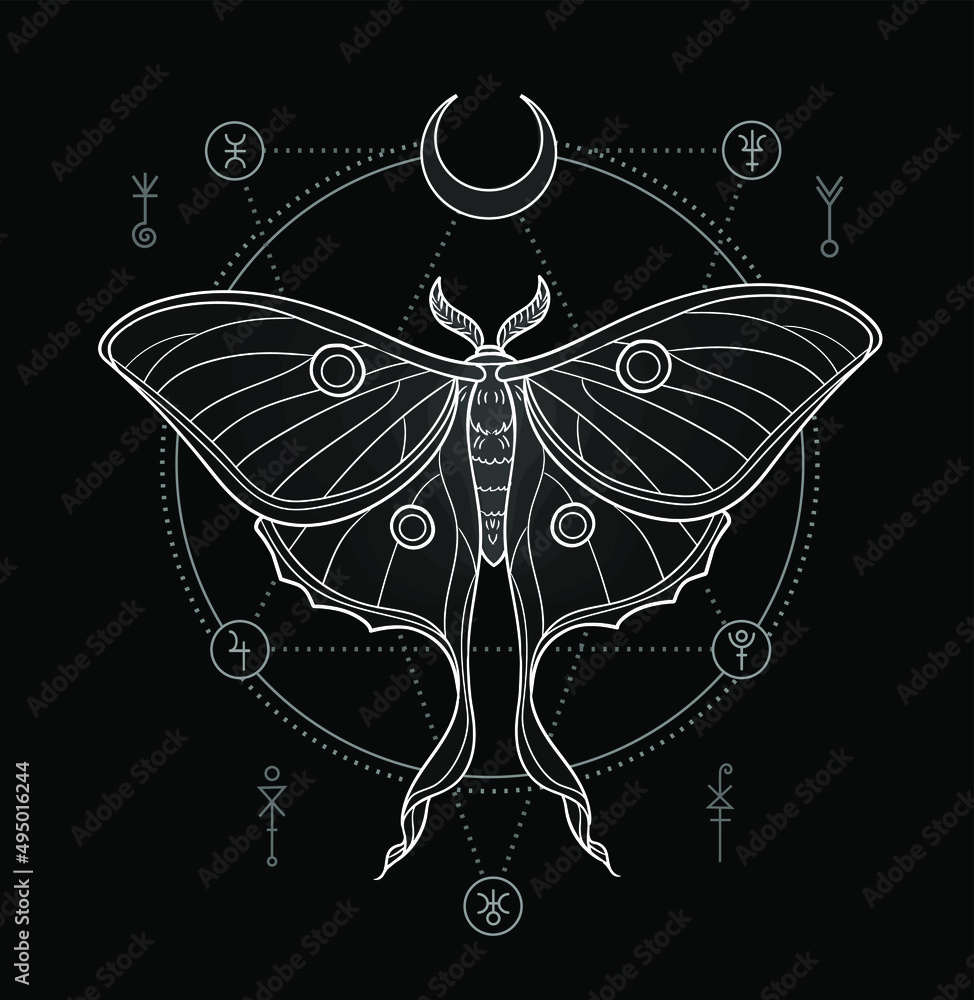 Luna moth with pentagram and alchemy symbols. Vector illustration in ...