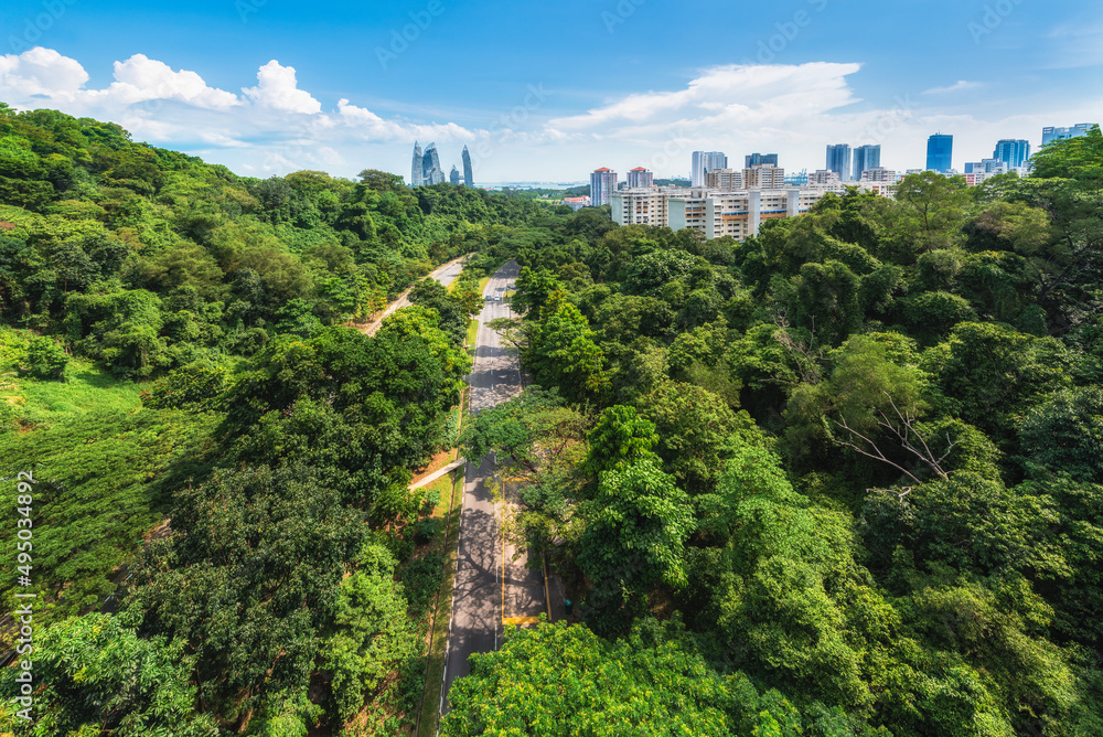 Singapore City in forest with airplane blue sky, View point from ...