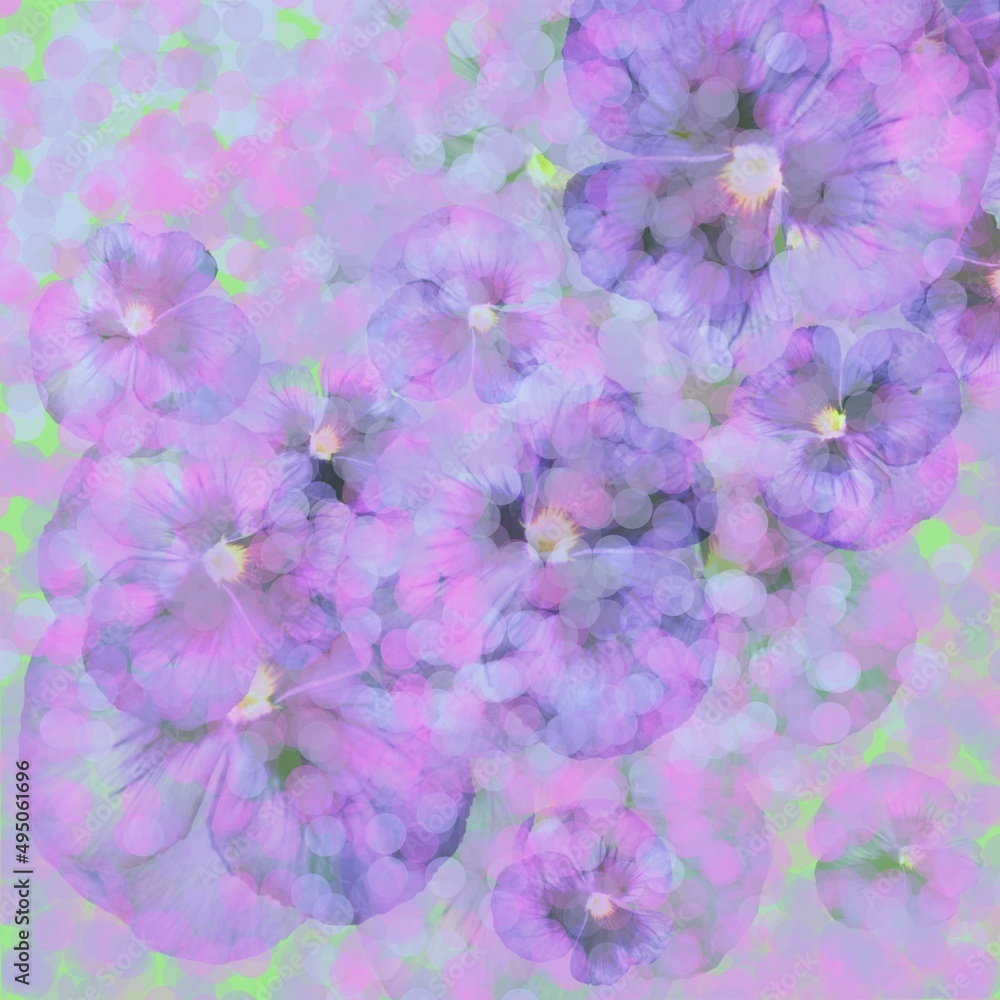 Violet delicate flowers. Frame, background, card, invitation. Stock ...