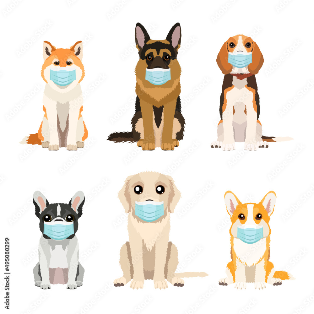Cartoon dogs wearing protective face masks. Collection of vector ...