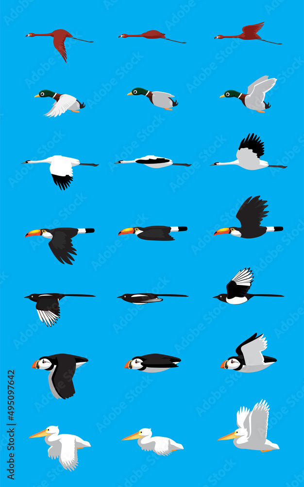 Various Bird Flying Sequence Cute Cartoon Vector Illustration Set 2 ...