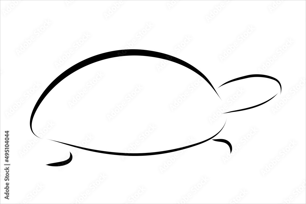 Vector illustration of turtle painted with simple lines. Symbol of ...