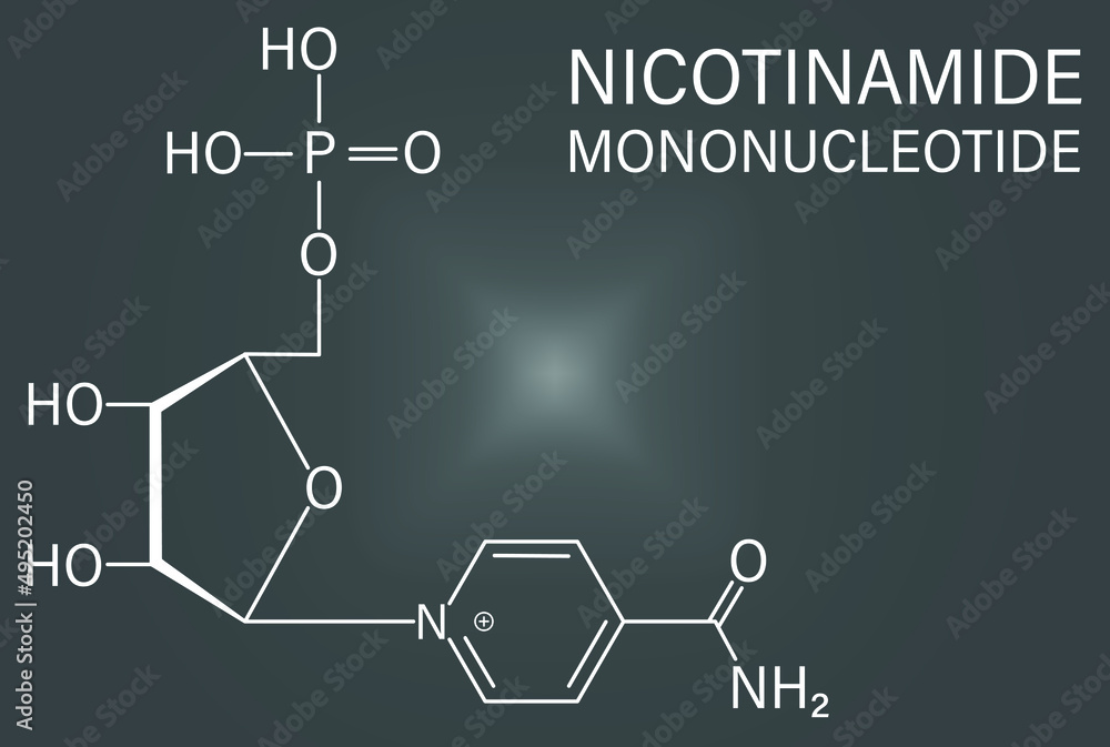 Nicotinamide mononucleotide molecule. Precursor of NAD+. Skeletal ...