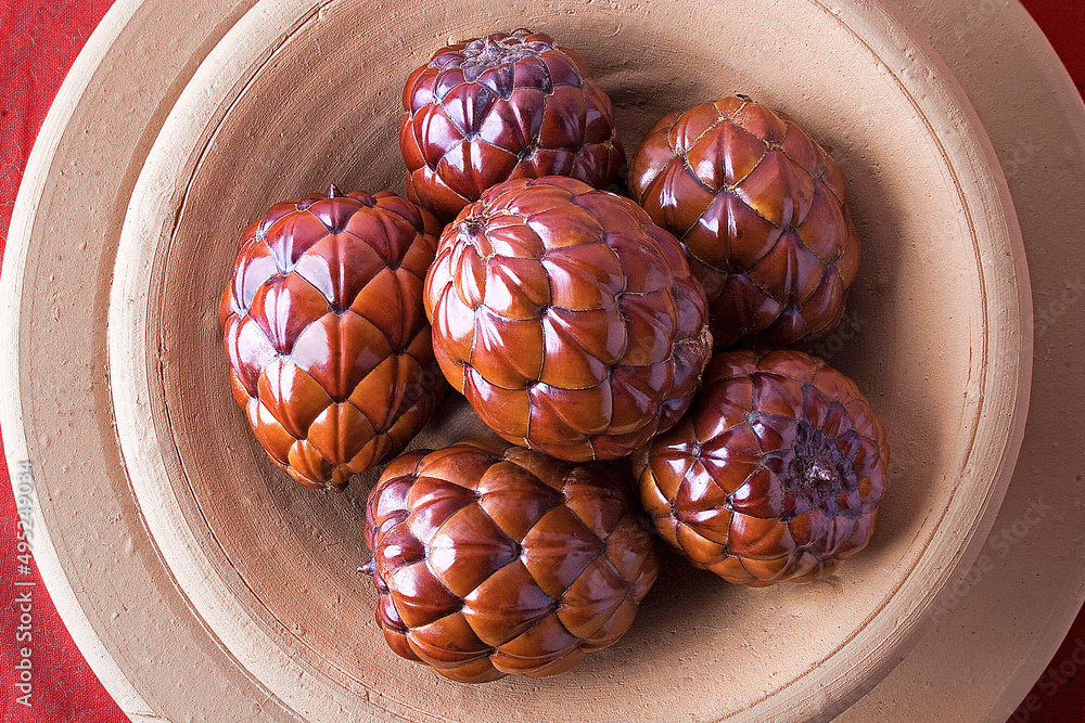 Fruits of the Raphia taedigera palm native to South America, including ...