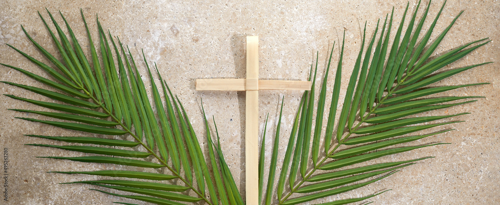 Palm Fronds For Palm Sunday