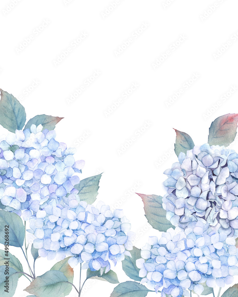 Watercolor hydrangea frame. Botanical design. Hand drawn illustration ...