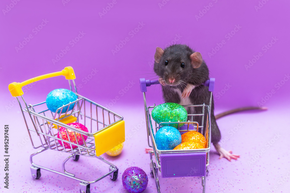 Happy Easter background. Easter eggs are colorful in a shopping basket ...