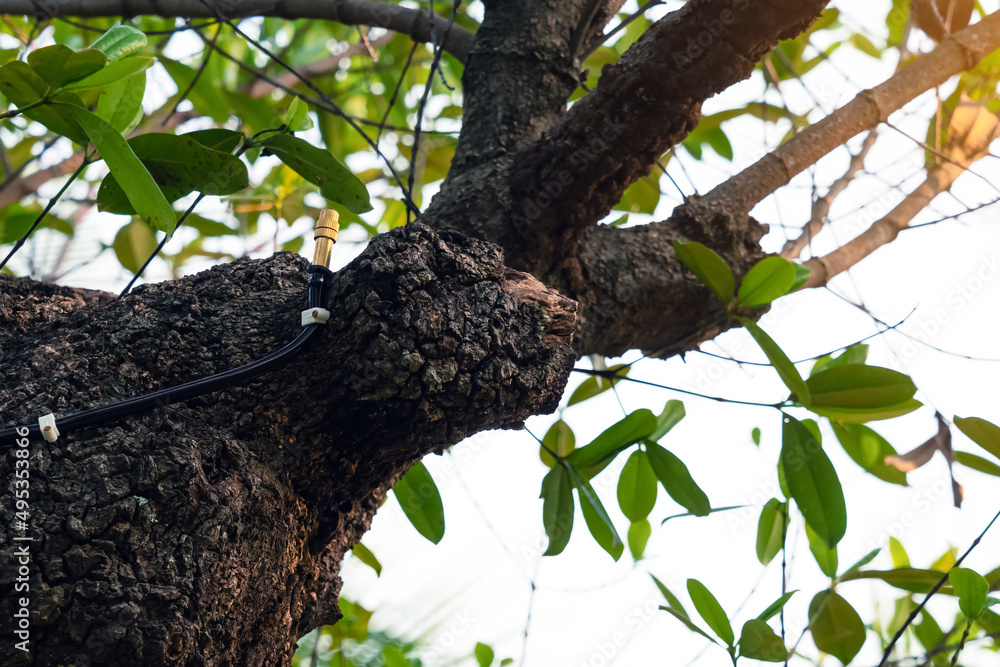 Brass mist nozzles or sprinklers for spraying water spray on trees ...