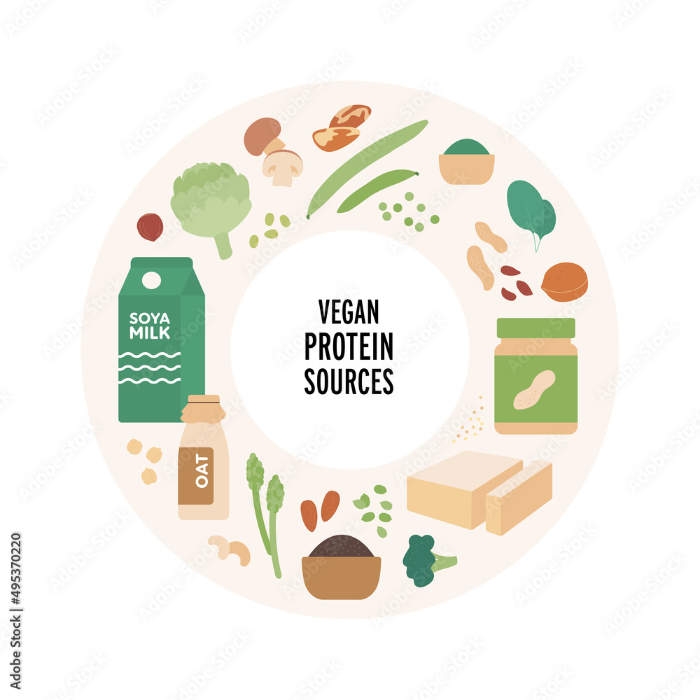 Food guide concept. Vector flat modern illustration. Vegan protein ...