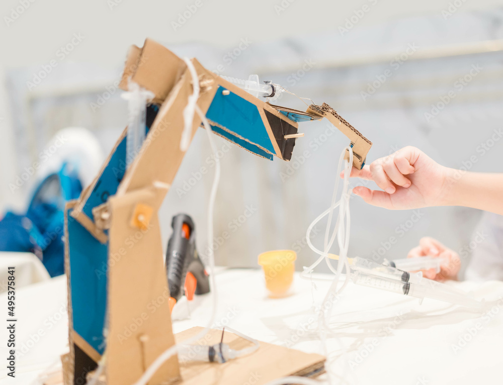 Student child Make Hydraulic Powered Robotic Arm from Cardboard project ...