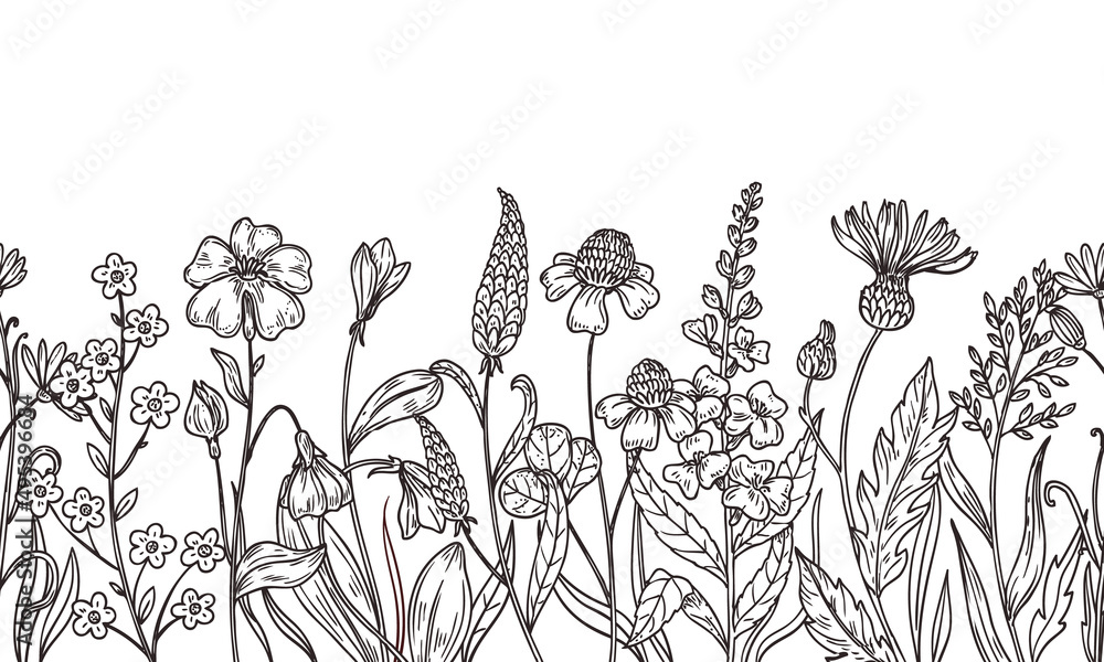 Sketch wild flowers pattern. Field plants, flower hand drawn. Bunch or ...