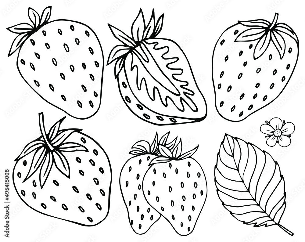 Strawberry fresh berry. Leaves, leaf, plant, half, slice, seeds ...